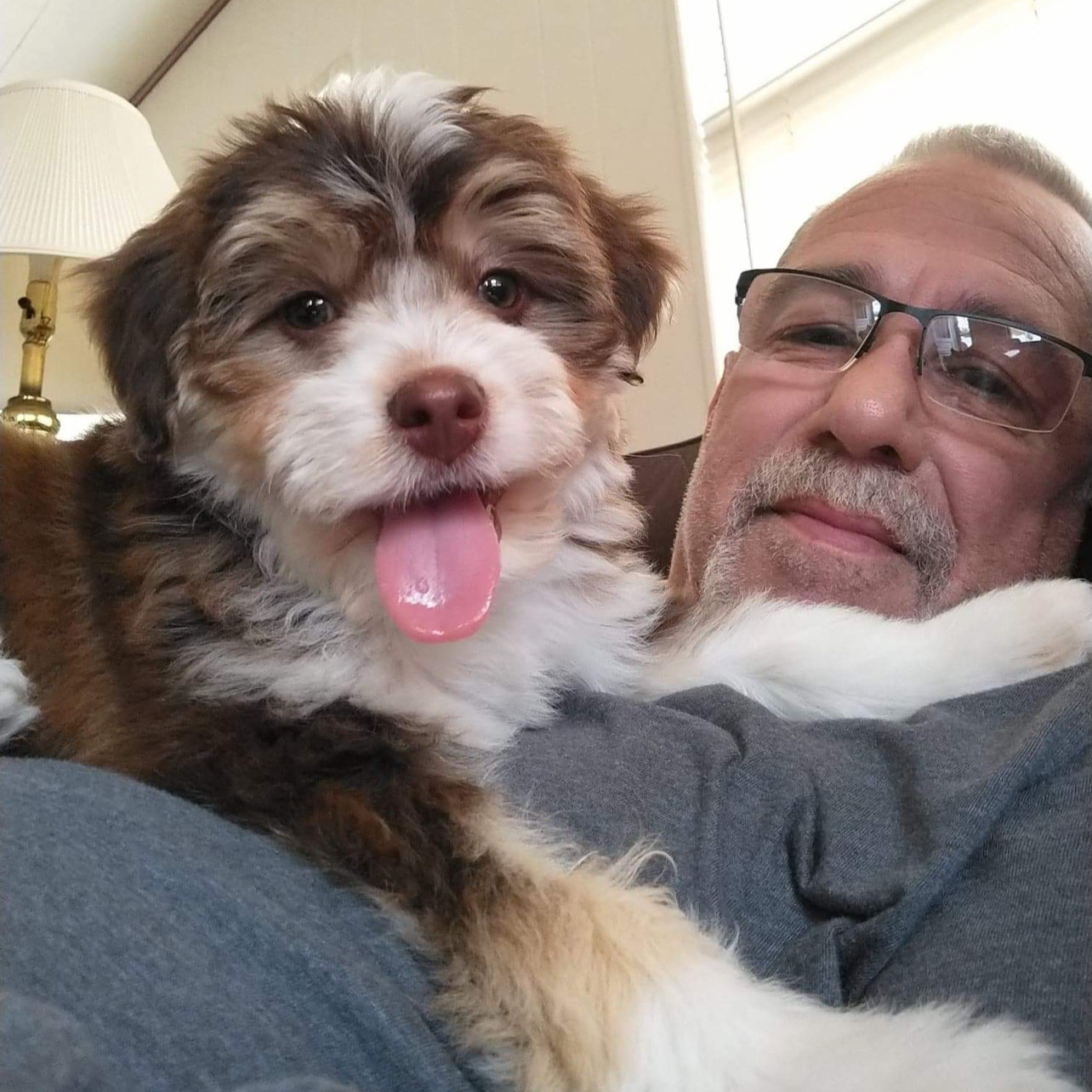 Home - The Puppy House